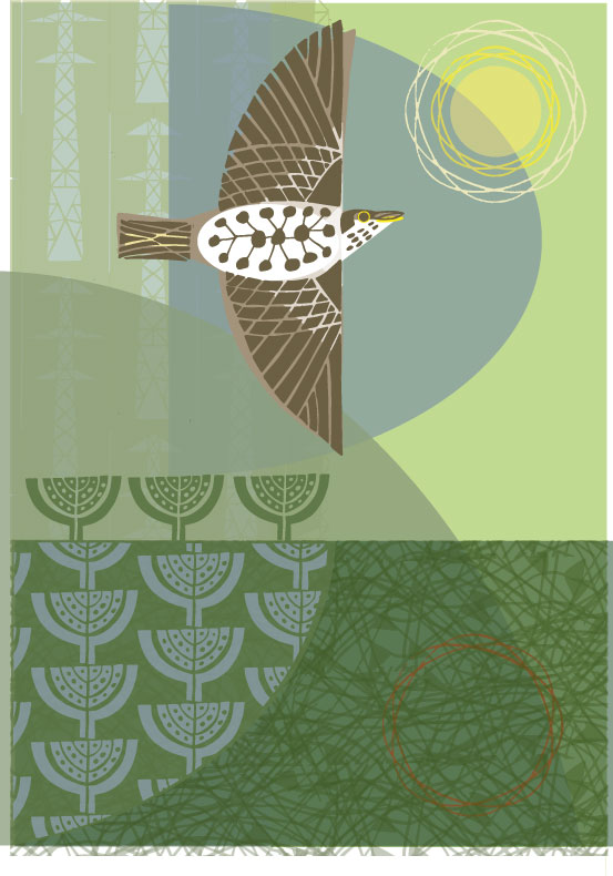 Services | Fiskur Graphic Design Studio