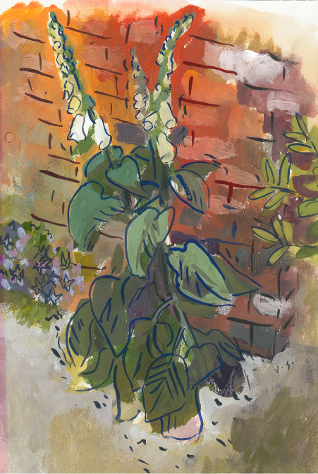 Services | Fiskur Graphic Design Studio